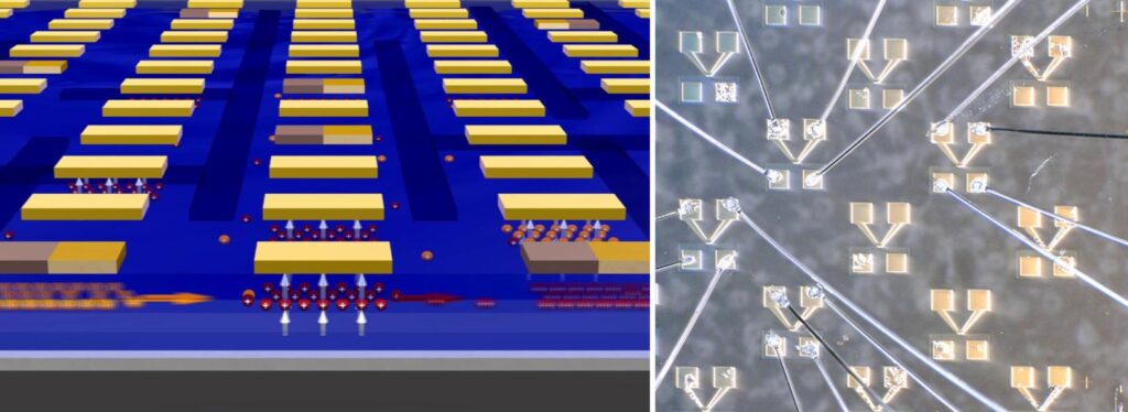 Quantum Material and Device Lab